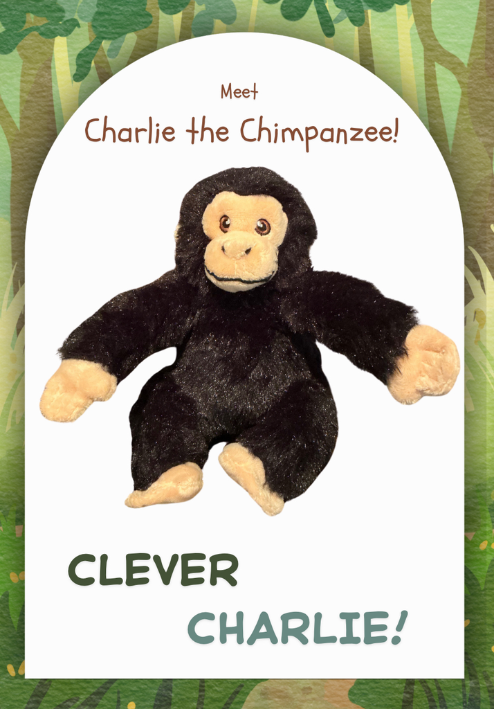 Charlie the Chimpanzee | https://www.wowsupplies.com